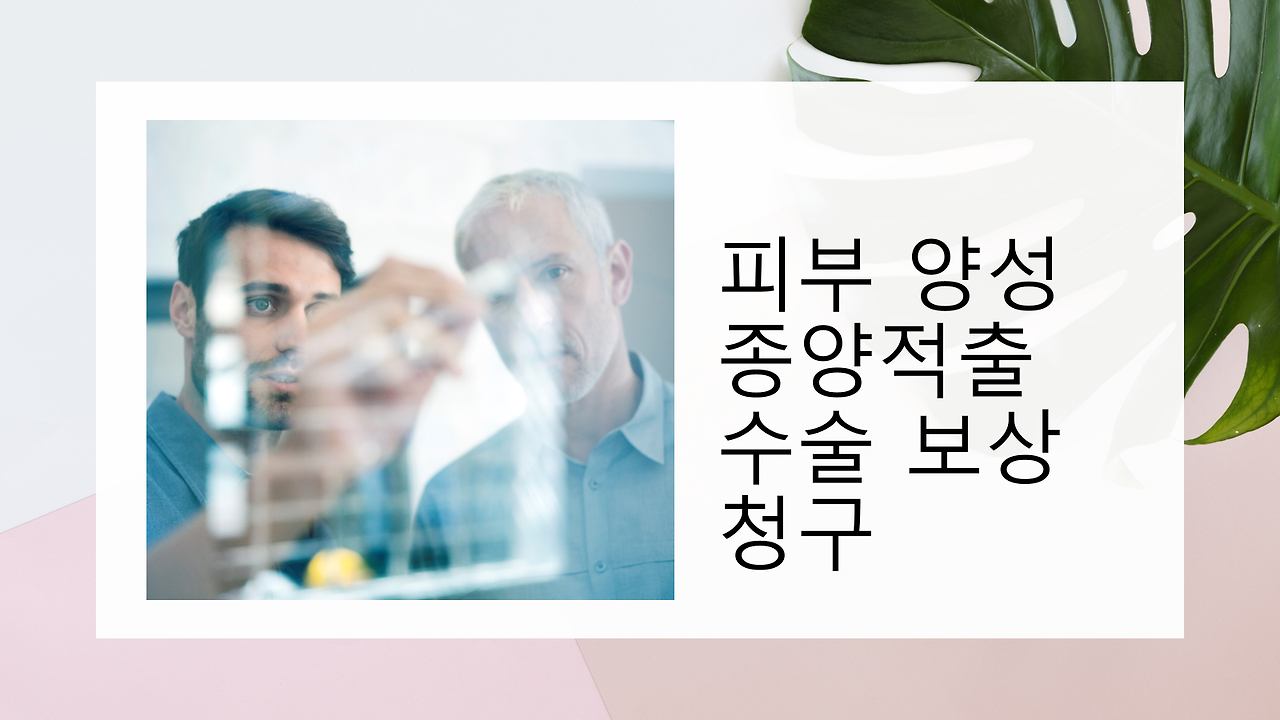 피부 양성종양적출수술 보상 청구