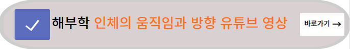 해부학 인체에 대한 면과 축 인체의 움직임과 방향을 나타내는 용어