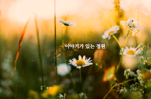 정서의 진화와 발달⑤청소년기 성인기의 정서 발달 질풍노도의 시기 에스트로겐 테스토스테론 또래 압력 중년기 정서적