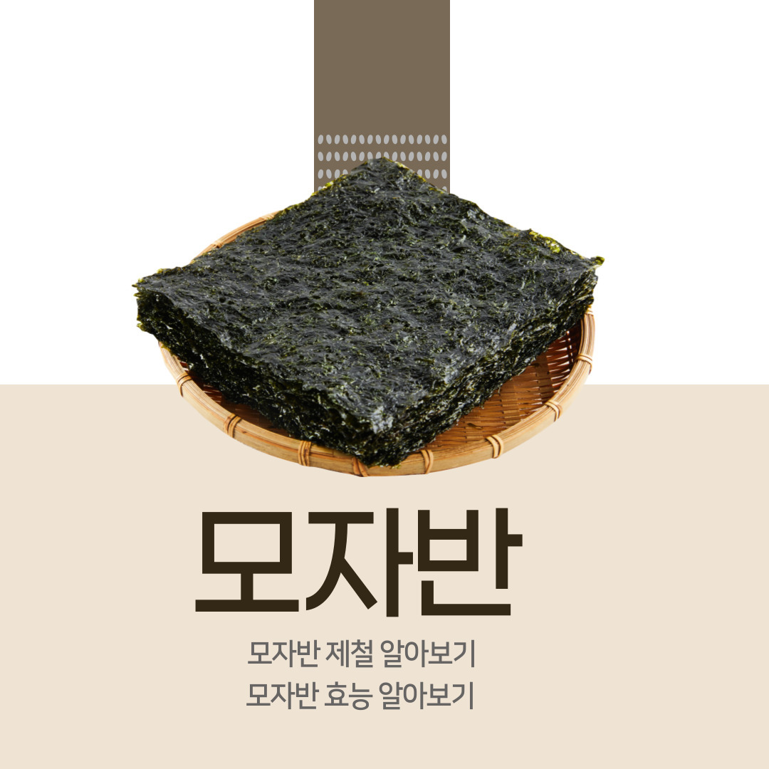 모자반 제철과 효능 알아보기 겉핥기상식