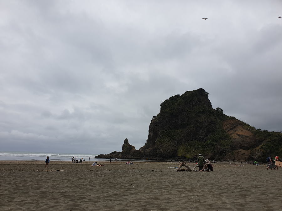 오클랜드 Piha Beach 피하비치 리무에라 골프장