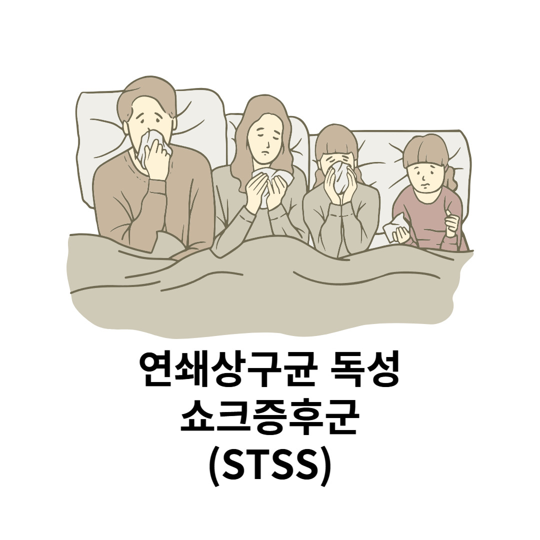 일본전염병 연쇄상구균 독성쇼크증후군stss 치사율 전염경로 증상 원인 대응방법 치료 예방법