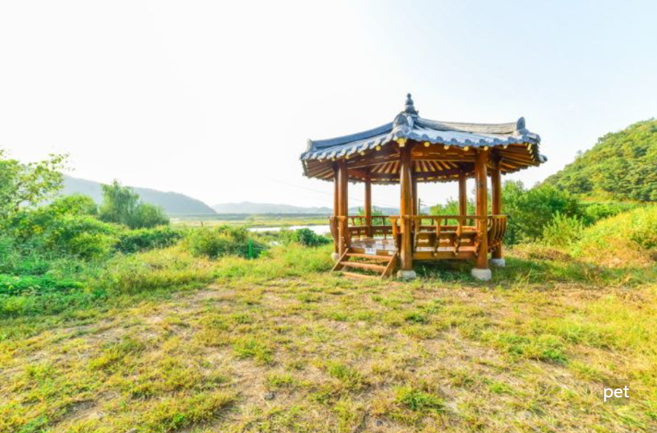 경기 연천 연천 물꽃캠핑장 예약 방법 애견 동반 가격 주소 시간 후기 댕댕캠핑 전국 애견동반 캠핑장