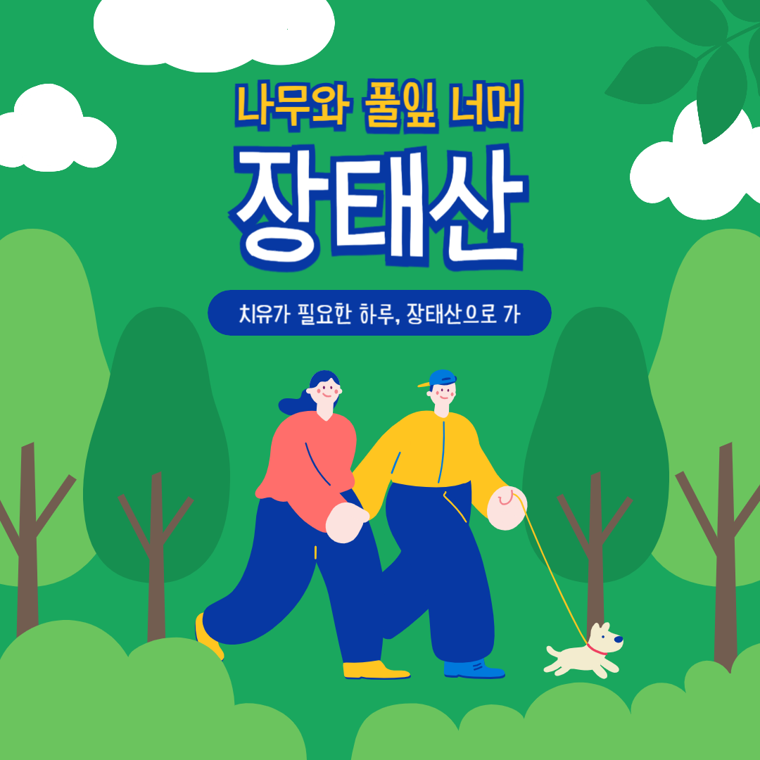 대전 장태산 자연휴양림 여행 숲속데크·전망대·치유코스 총정리