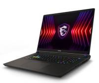 MSI 2024 벡터 17 HX 코어i9 RTX 4080 A14VHG-i9 QHD 리뷰