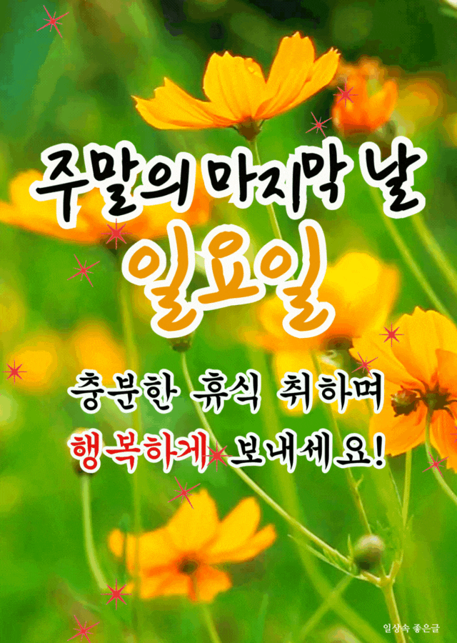 💛일요일 인사말 모음 일요일 휴일 아침인사휴일 인사말 이미지