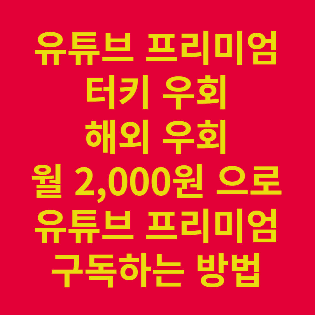 유튜브 프리미엄 터키 우회 월 2000원으로 유튜브 프리미엄 구독하기
