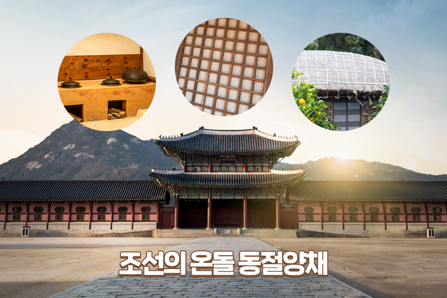 한겨울에도 ‘철없이 딸기를 즐길 수 있는 이유 백색 혁명 비닐하우스