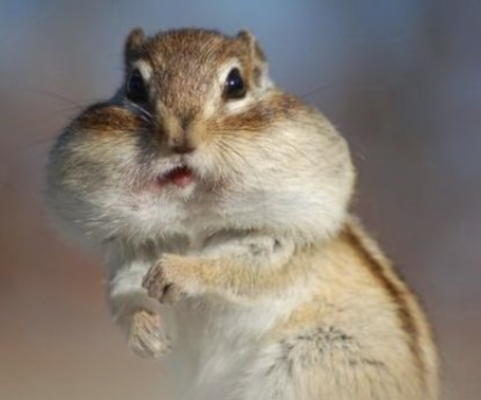 리액트 네이티브(React-native)의 디버깅 도구 (React-devtools, Reactoron) — REPOSITORY