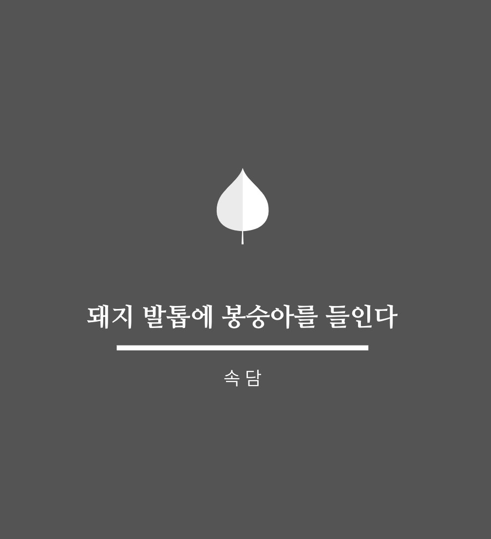 돼지 발톱에 봉숭아를 들인다 뜻 의미 유래 그리고 실생활 사용 사례 예문
