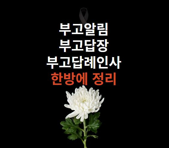 부고 알림 문자부고 알림 문구 부고 답장부고 위로문자 부고 답례 인사말 양식 한 방에 정리