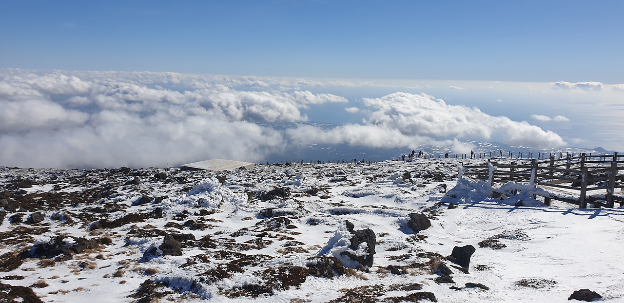 한겨울 한라산 눈구경해 보자.
