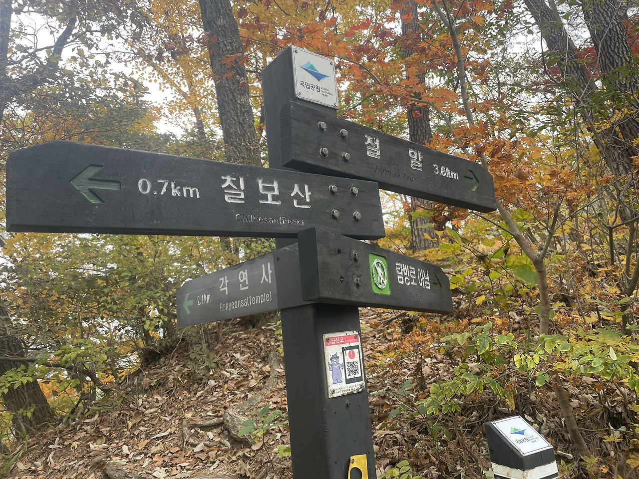 괴산 칠성 칠보산떡바위 코스