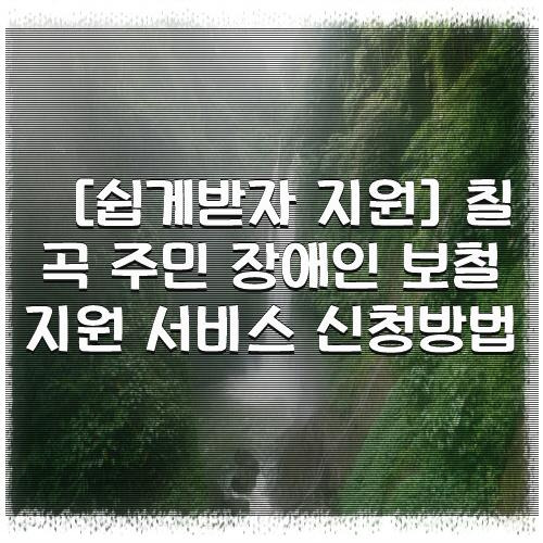 쉽게받자 지원 칠곡 주민 장애인 보철 지원 서비스 신청방법