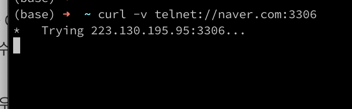 telent 없이 port open 확인 feat. curl