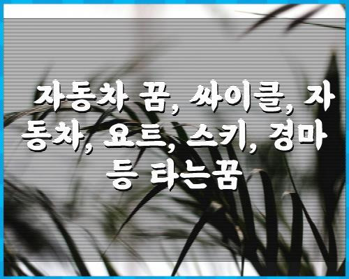 자동차 꿈 싸이클 자동차 요트 스키 경마 등 타는꿈