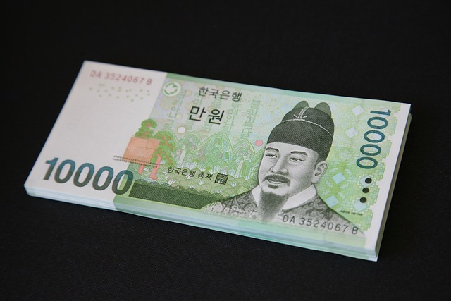 외환시장에서 돈 벌기 알아보기 Modu의 정보를 Dao