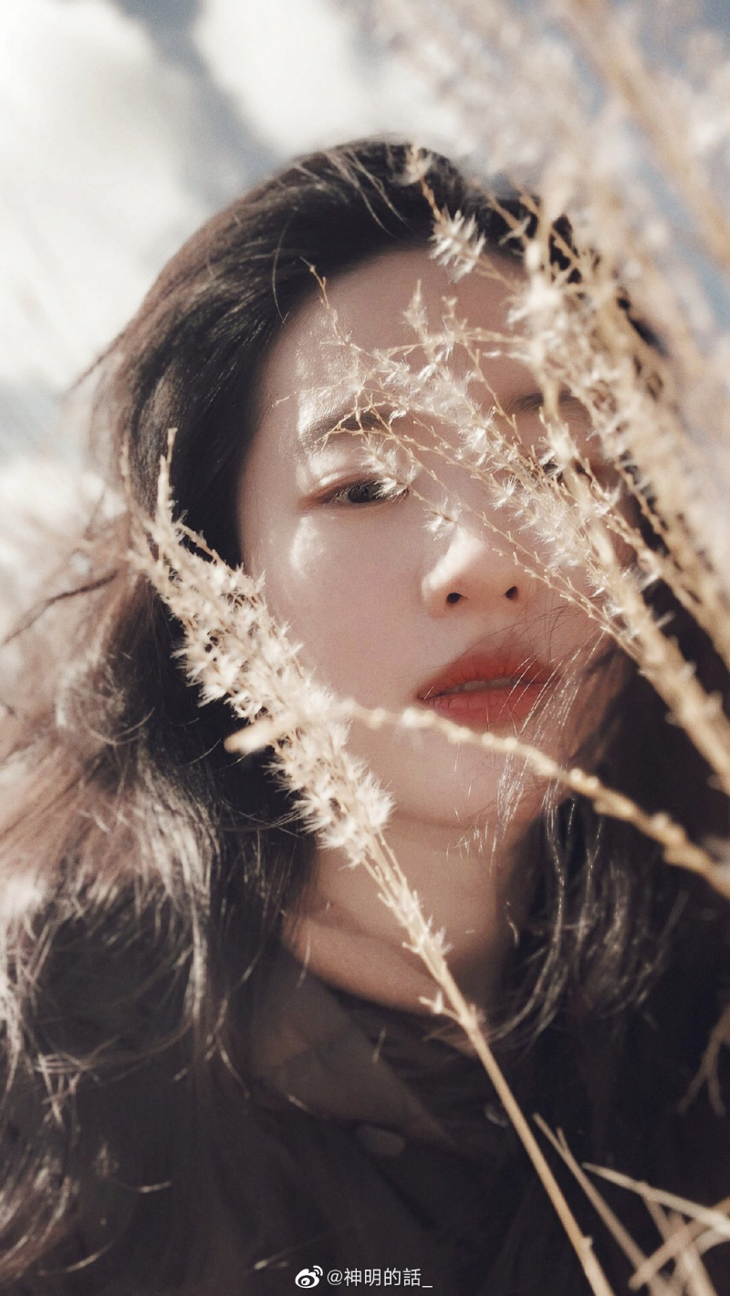 “청순” 하면 유역비 (刘亦菲, Liu Yifei)