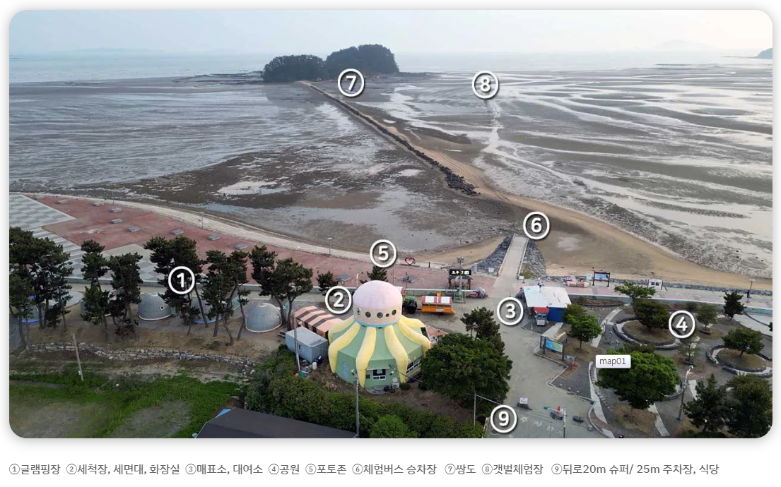 충남 서천 비인면 선도리 갯벌체험장 조개캐기 색다른 여름 체험 추천