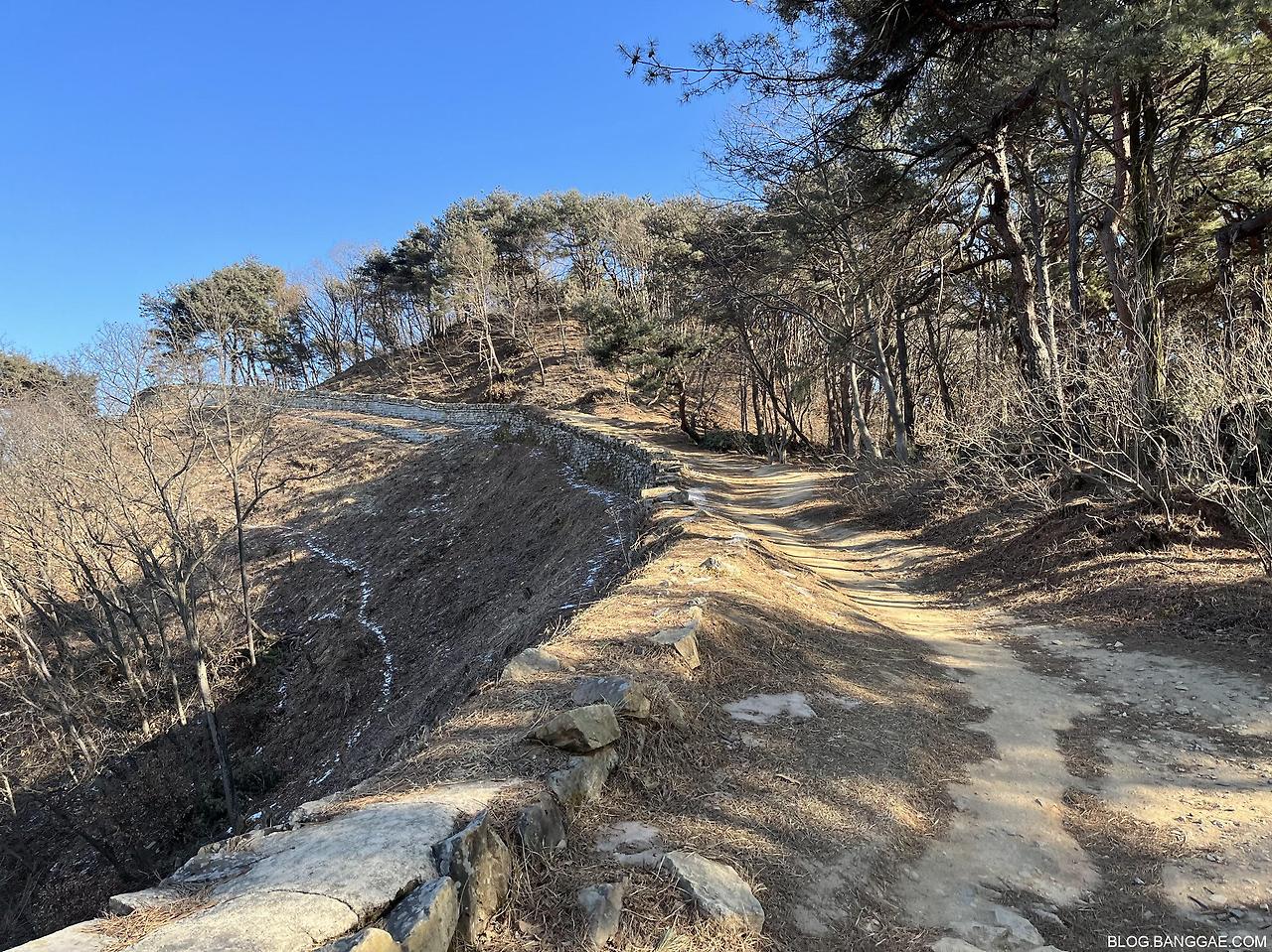 청주 상당산성 자연휴양림 숲속의집 아까시나무와 상당산성 등산로