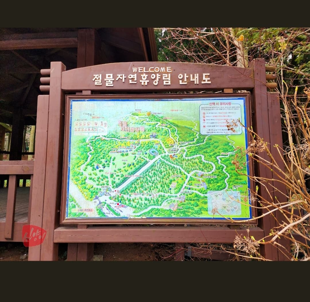 제주 절물 자연휴양림 소개위치입장료