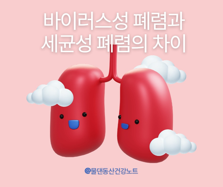 바이러스성 폐렴과 세균성 폐렴 은 어떻게 달라요 원인 증상 치료 전염성 예방 차원에