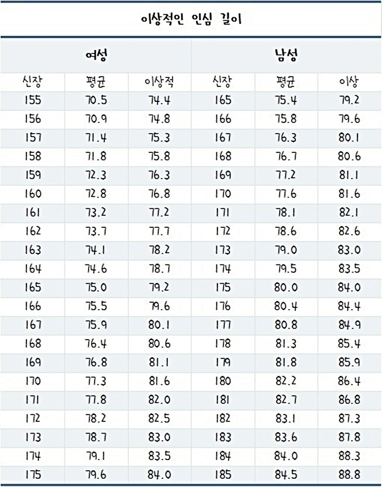 다리 길이 재는 법 비율과 평균 확인하기