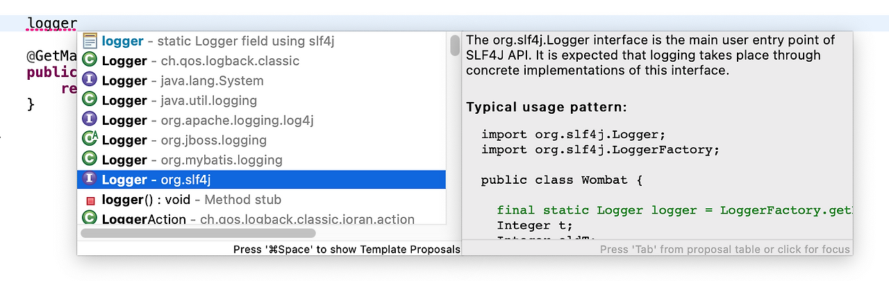 [Sprint Boot] 로거 생성 및 slf4j를 이용한 로깅