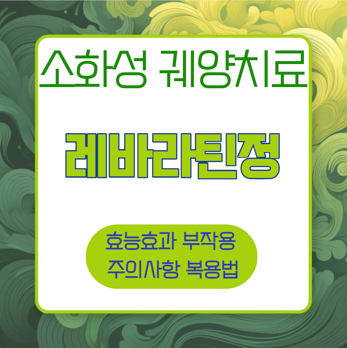 레바라틴정 부작용 효능 효과 주의사항 복용법 소화성위궤양