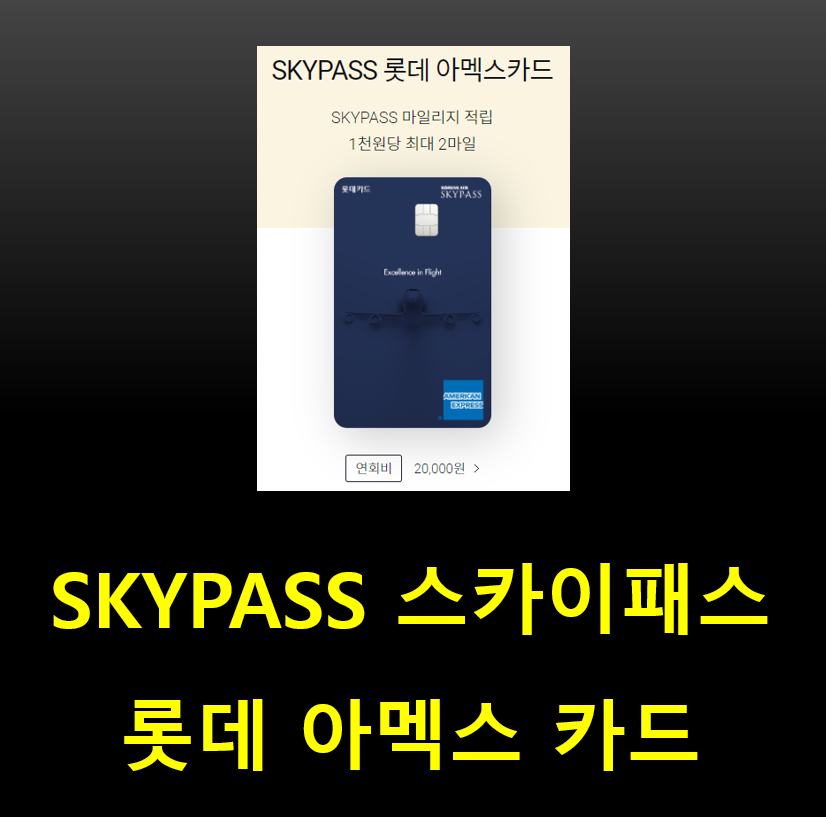 세금납부 마일리지 카드 추천 스카이패스 Skypass 롯데 아멕스 카드로 미국주식 양도소득세 낼때 수수료와 마일리지 비교 이득