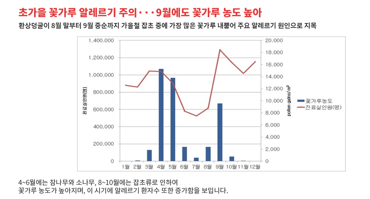 송화가루 날리는 시기