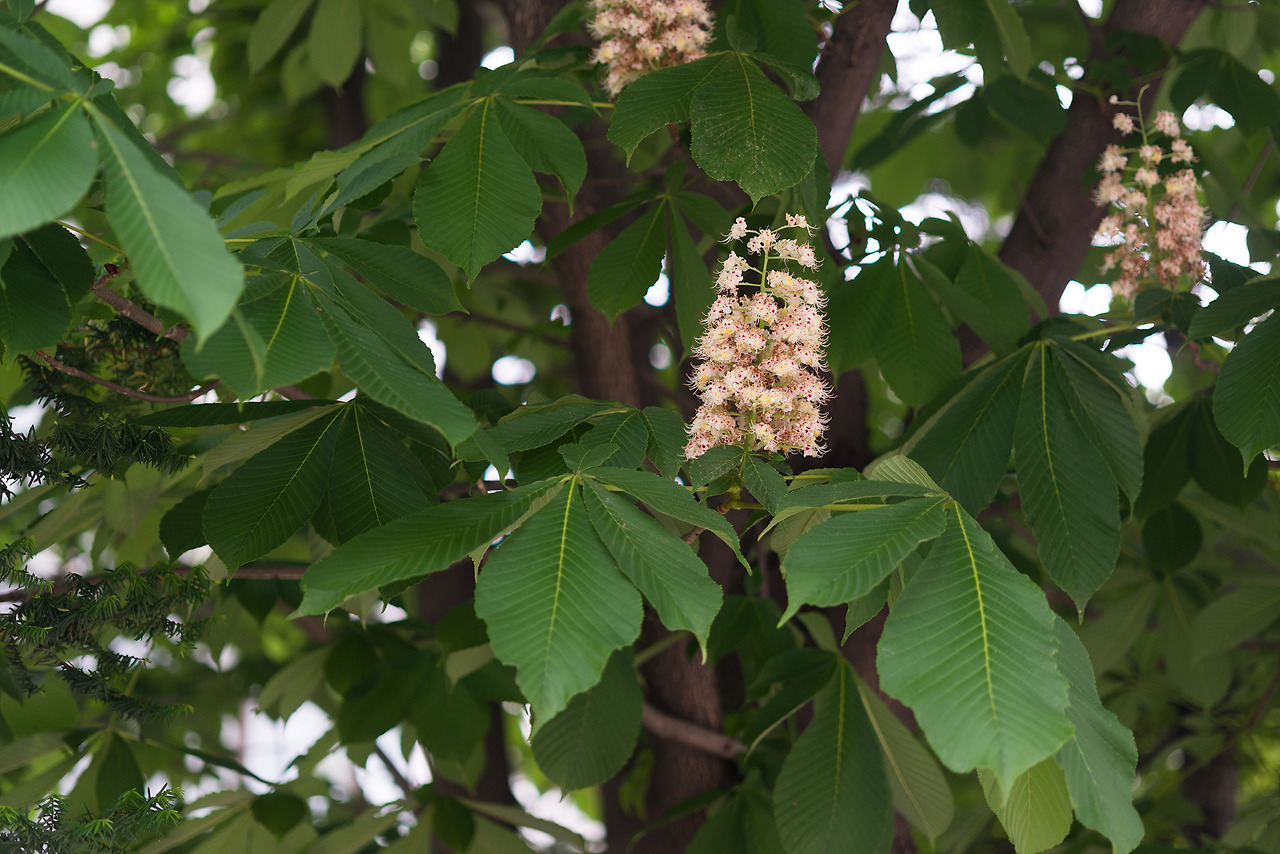 일상 생활 by 자연&사람