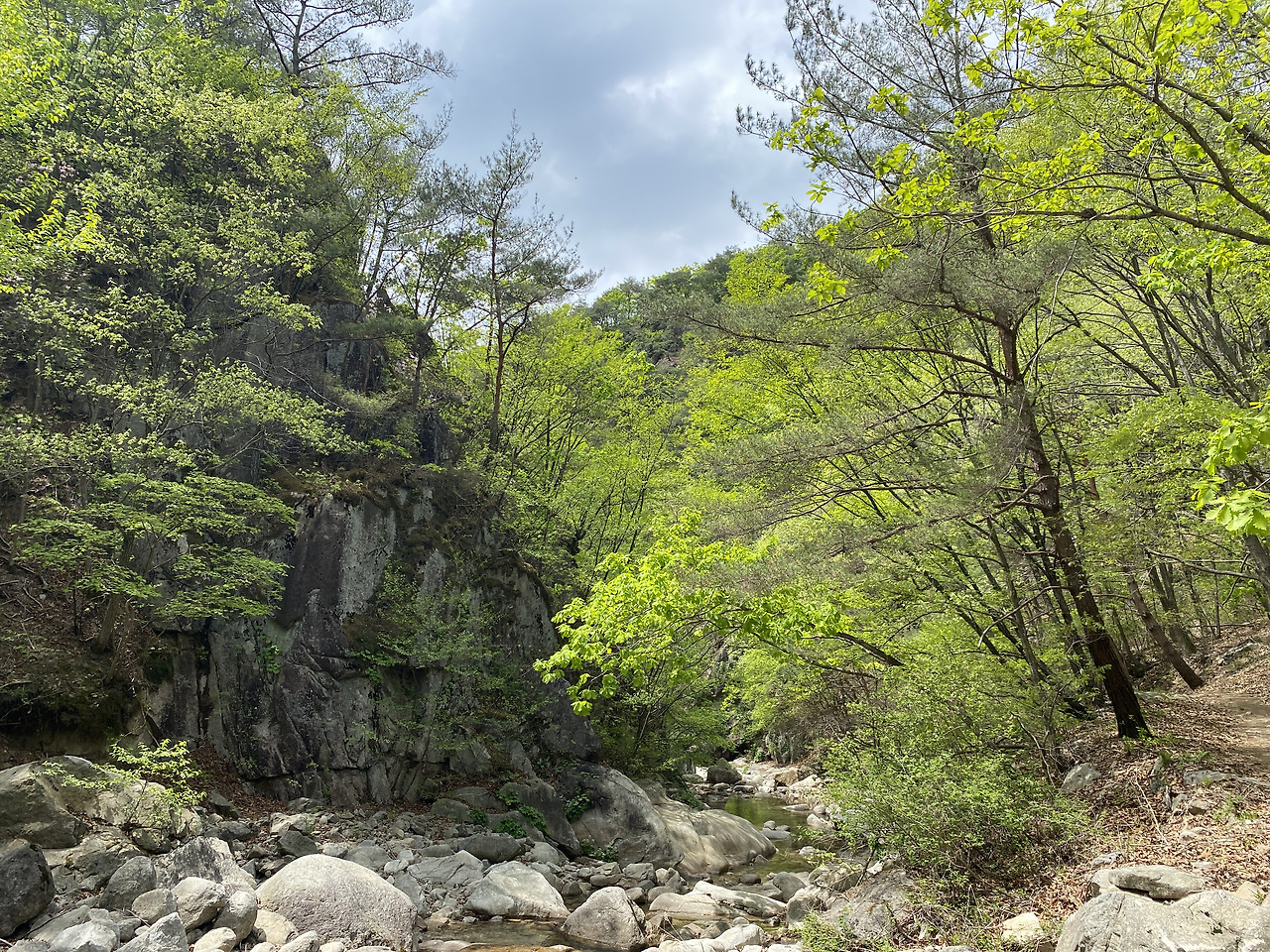 국립춘천숲체원 산수길” 걷기 좋은 명품숲길 선정