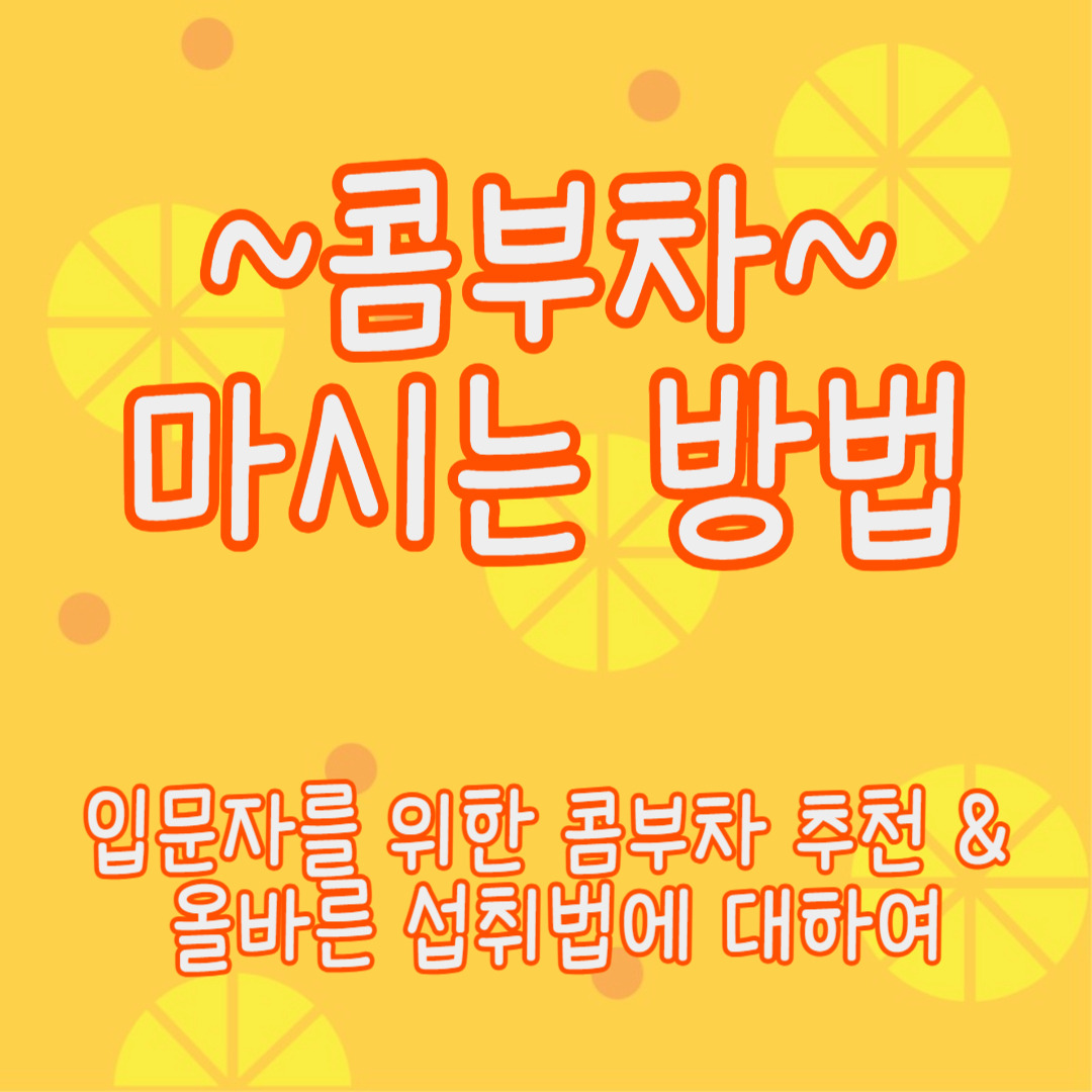 콤부차 마시는 방법 입문자를 위한 콤부차 추천 및 올바른 섭취법에 대하여