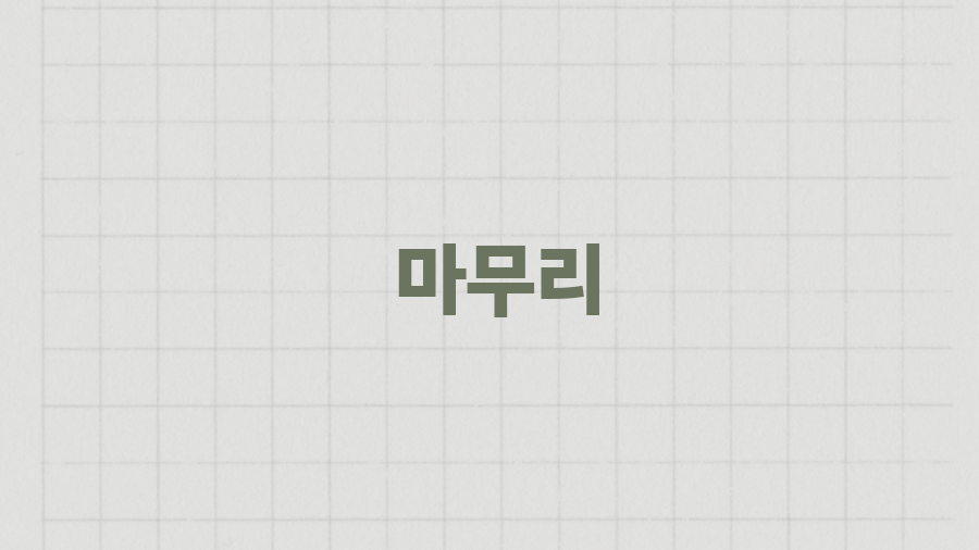 반명함판 사이즈 5분 만에 끝내는 꿀팁 대방출