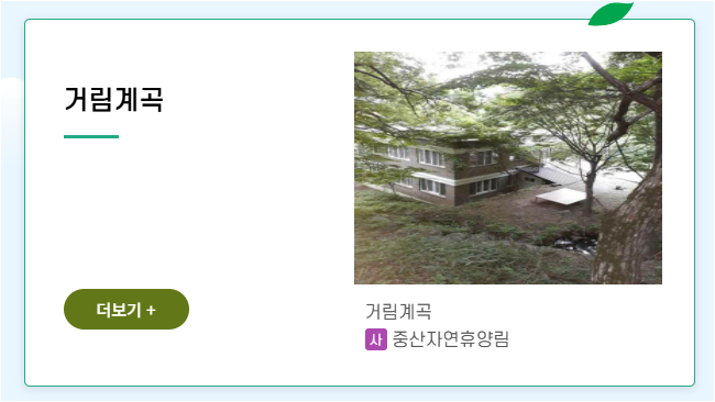 숲나들이 홈페이지 바로가기 (https://www.foresttrip.go.kr)