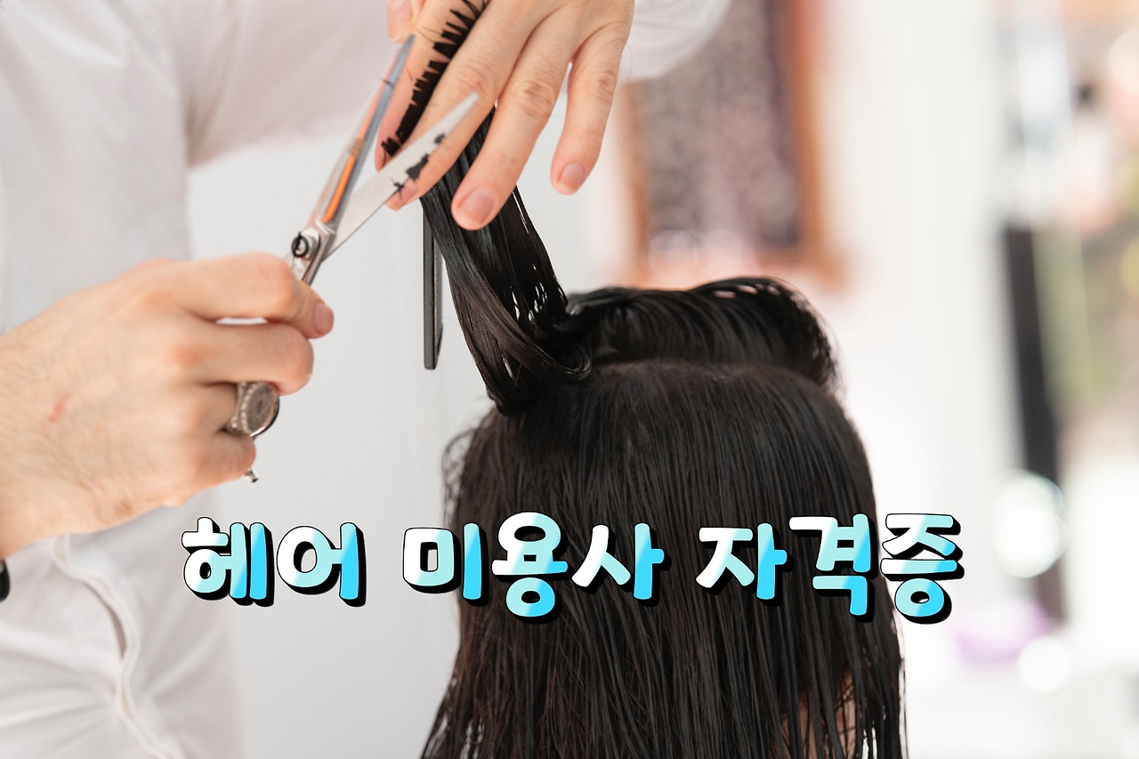 헤어 미용사 자격증 취득 방법 유익한하루