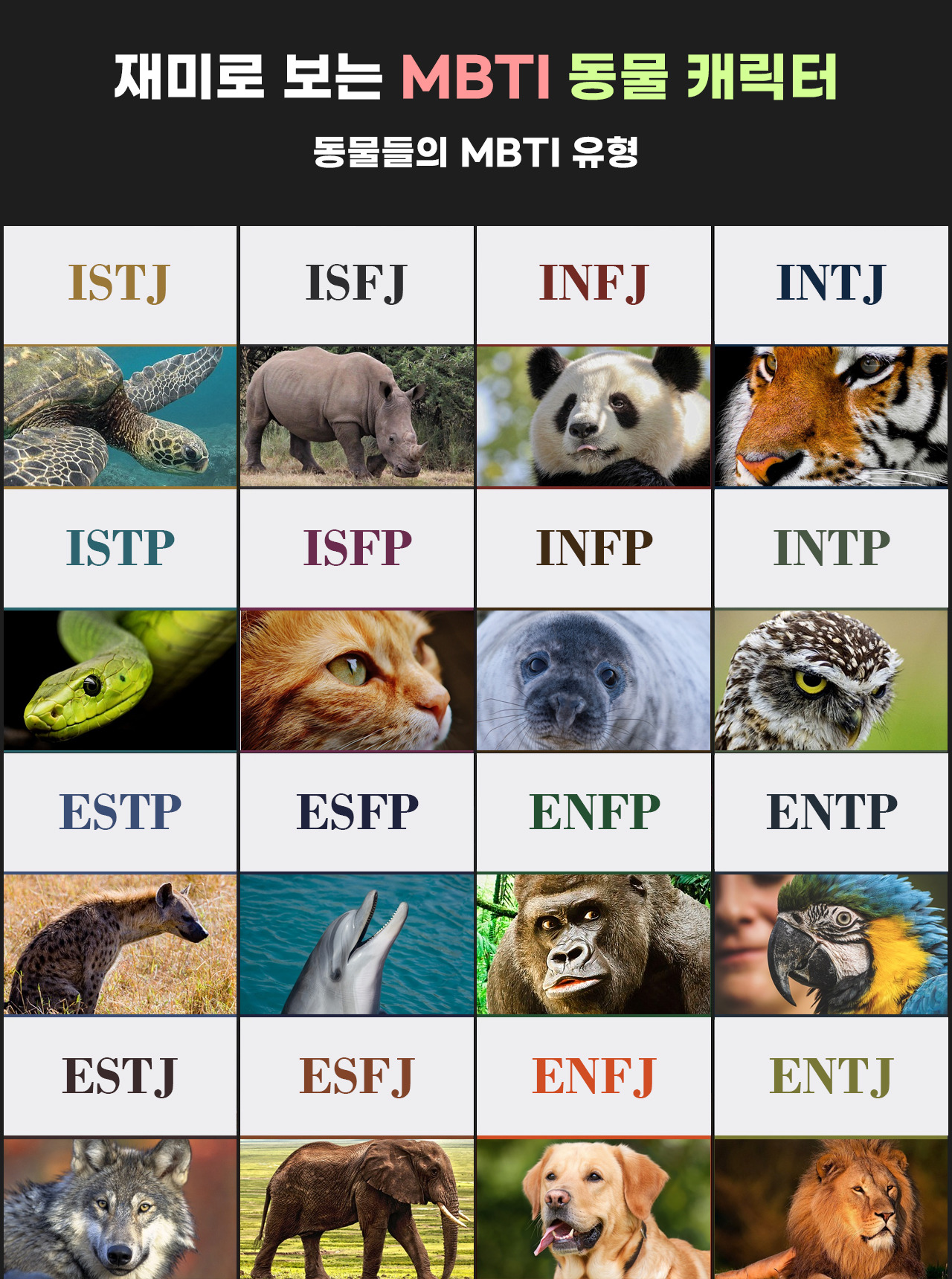 Mbti 성격유형 4가지 선호 지표 16가지 선호 유형