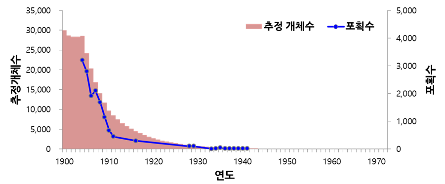독도 옛 주인 ‘독도 강치 멸종 원인 과학적으로 입증