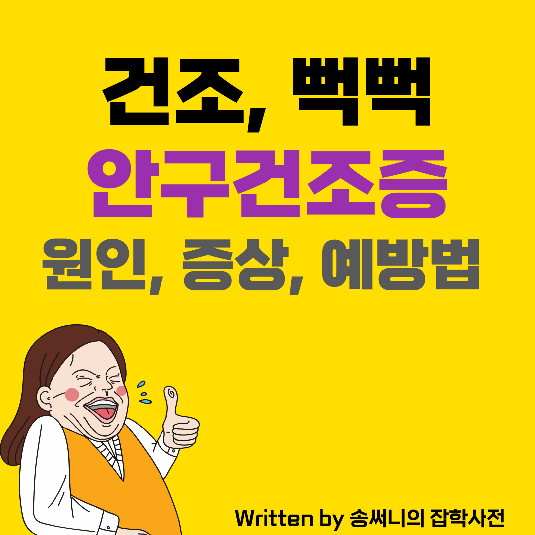 눈이 뻑뻑하고 시리다면 안구건조증 안구건조증 원인 증상 라식수술과 연관성 예방법