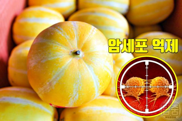 참외 효능 7가지 참외씨 참외껍질 참외꼭지 효능 참외부작용 하루섭취량