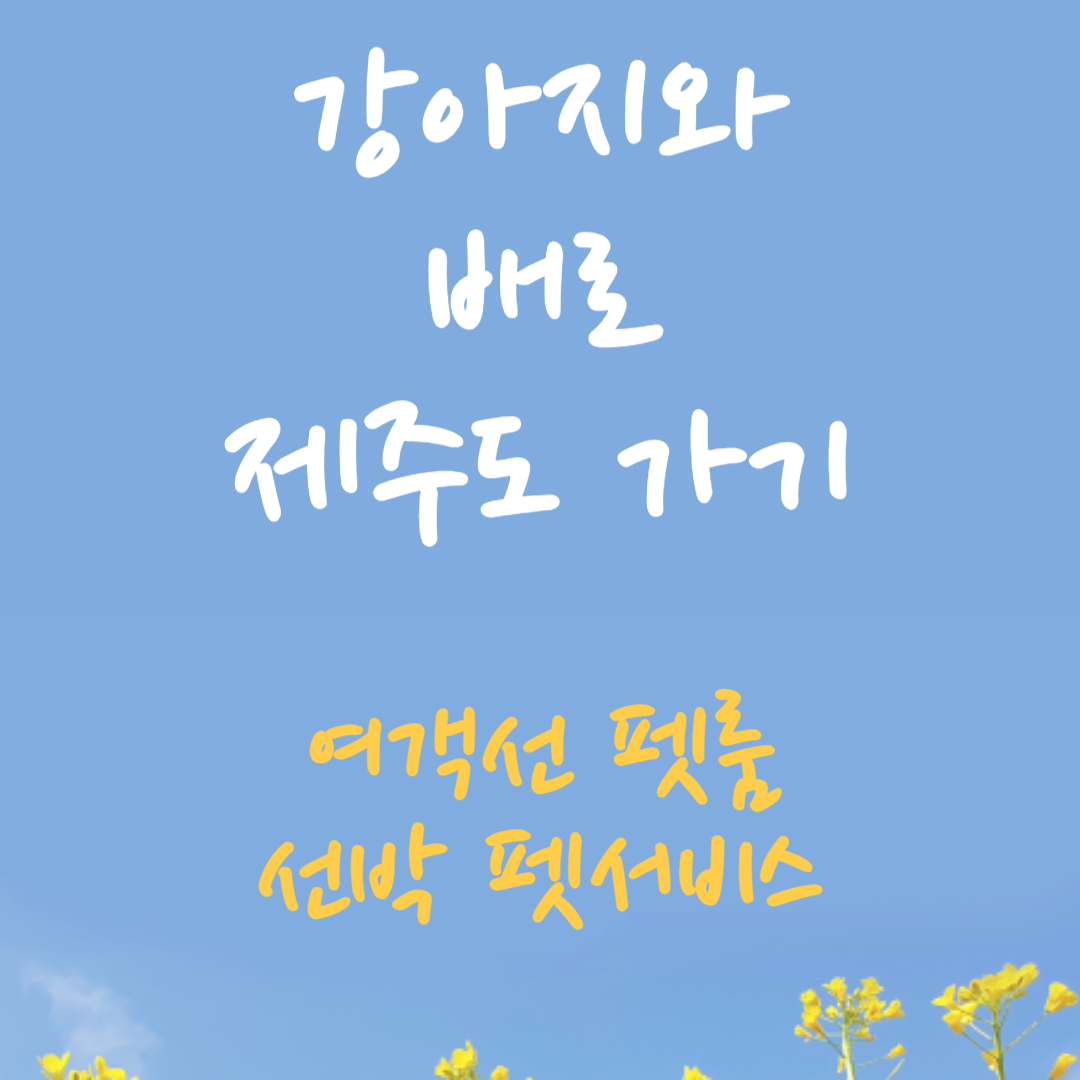 강아지와 배로 제주도 들어가기애견동반제주도여행 배 비행기 비교