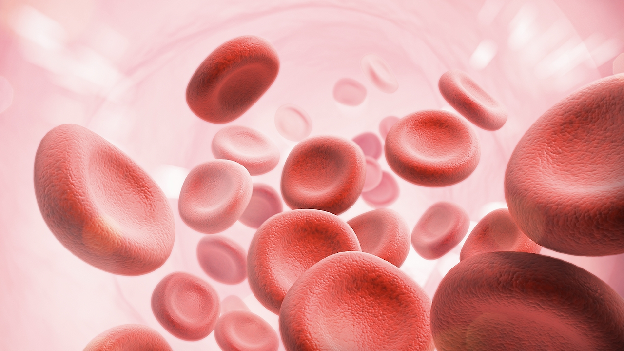 혈소판platelet 정상 수치 완벽 가이드 정상 고혈소판증 저혈소판증의 증상과 관리법