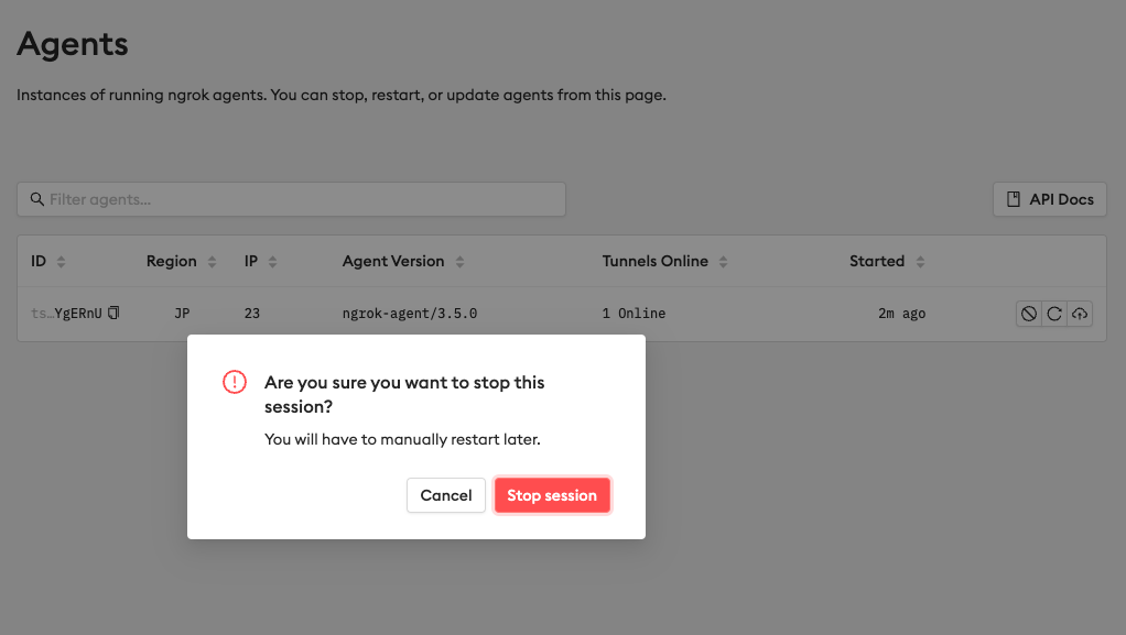[ERR_NGROK_108] ngrok error — B's