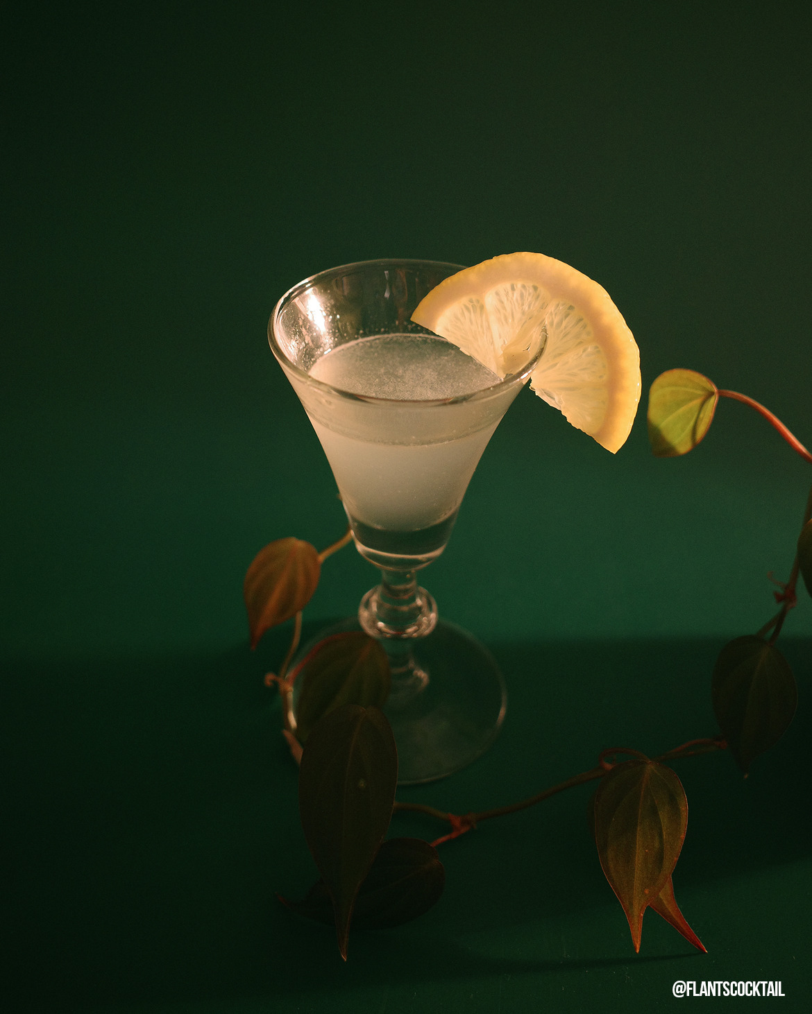 Balalaika Cocktail 발랄라이카 칵테일 (feat. 필로덴드론 미칸)