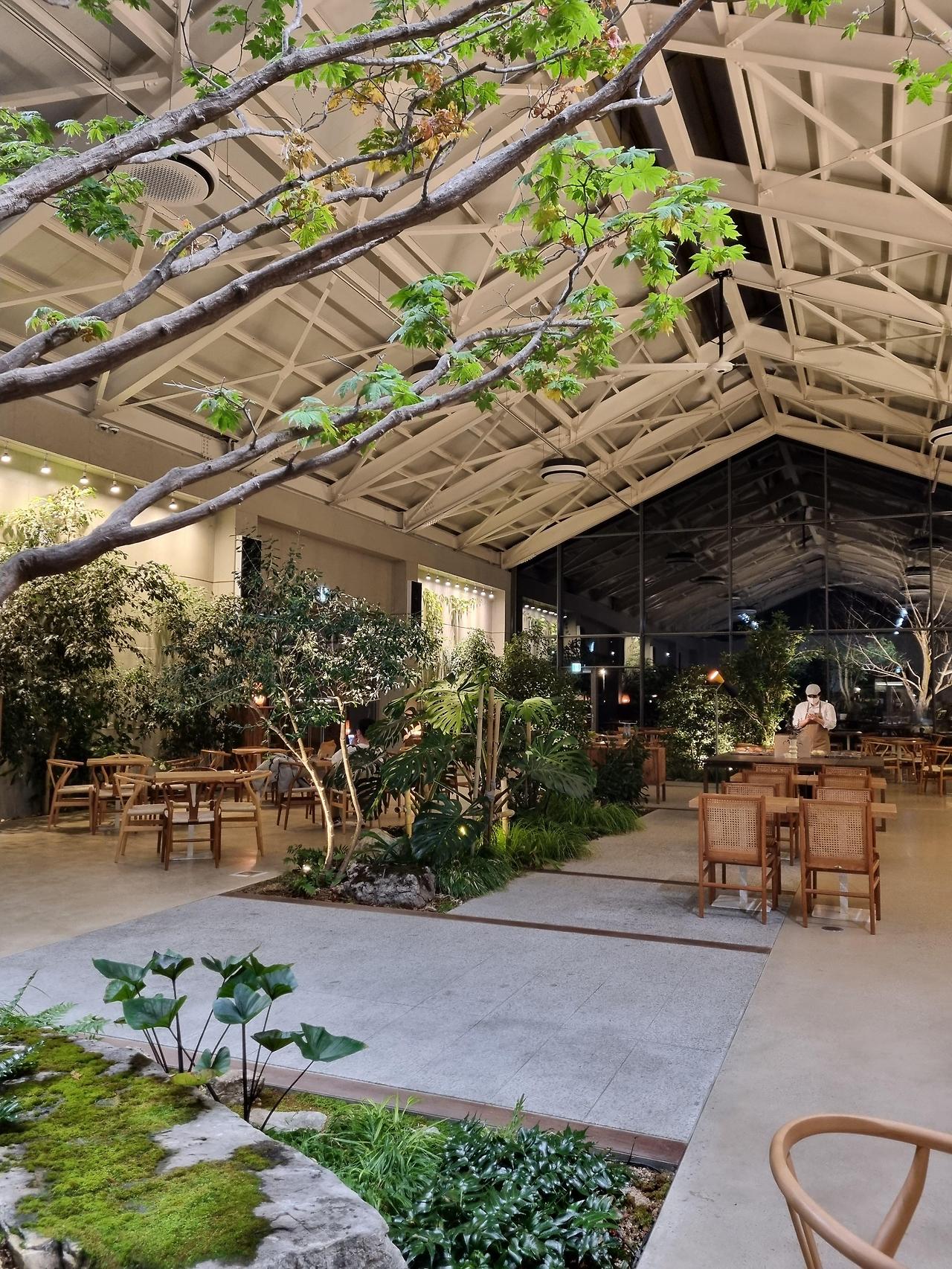 속초 시드누아 메뉴 주차 설악산전망 대형카페 속초당일여행