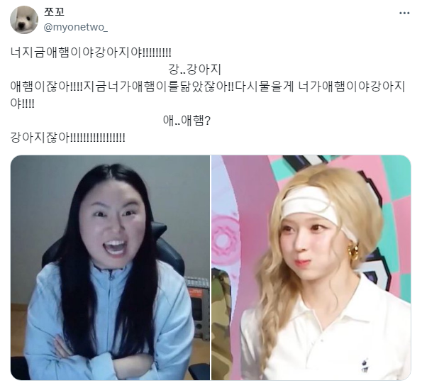 [월간 2024밈] 11월 편 - 11월 밈집핑💓 HSAD 공식 블로그 HSADzine