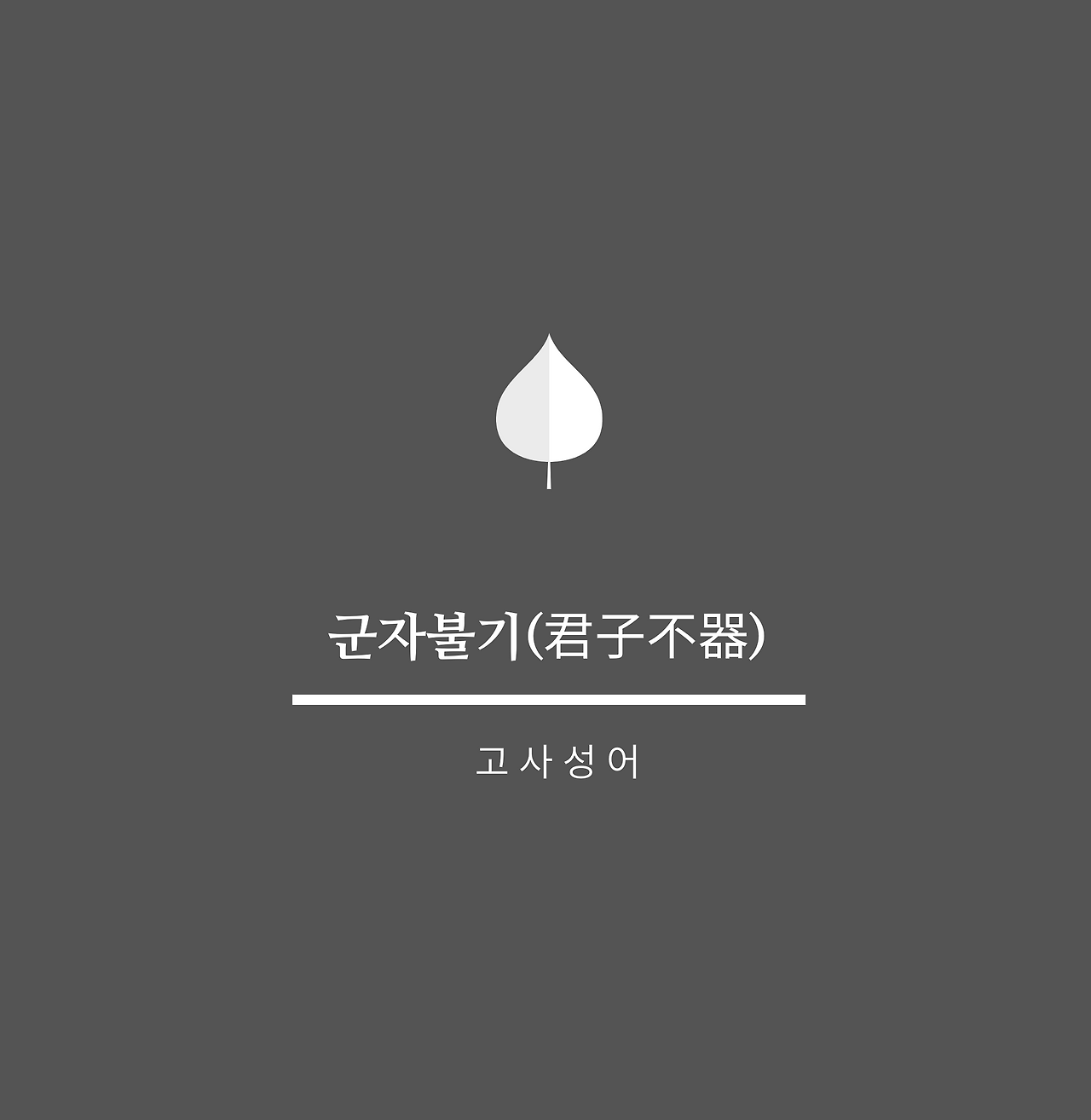 군자불기君子不器 뜻 의미 유래 그리고 실생활 사용 사례 예문