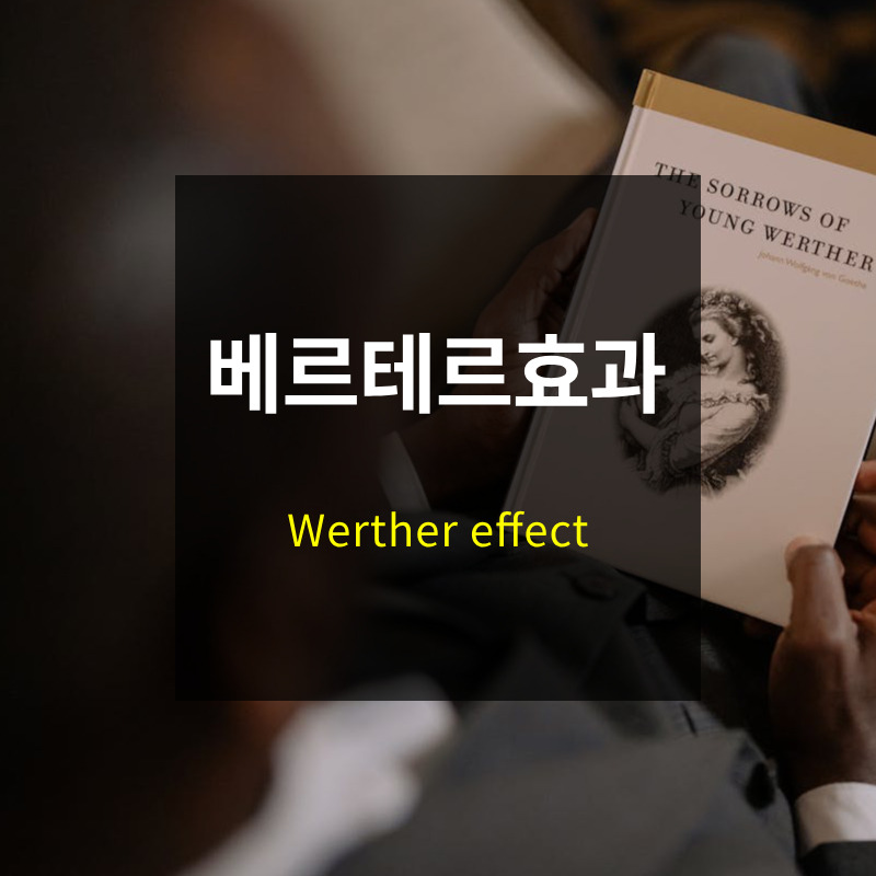 [심리용어] 베르테르 효과(Werther effect)란 무엇일까요?