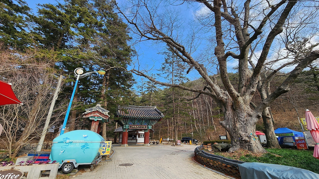 전북 부안 내소사 시외버스 정류소 시간표 내소사 전나무숲길 풍경